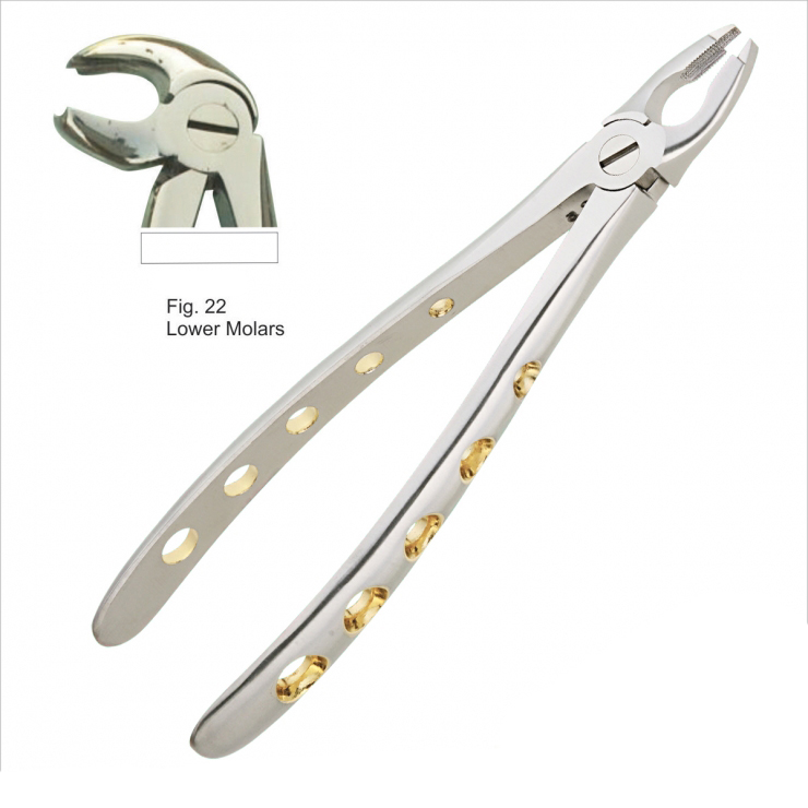 Lower Molars Fig.22 – Roxy Instruments